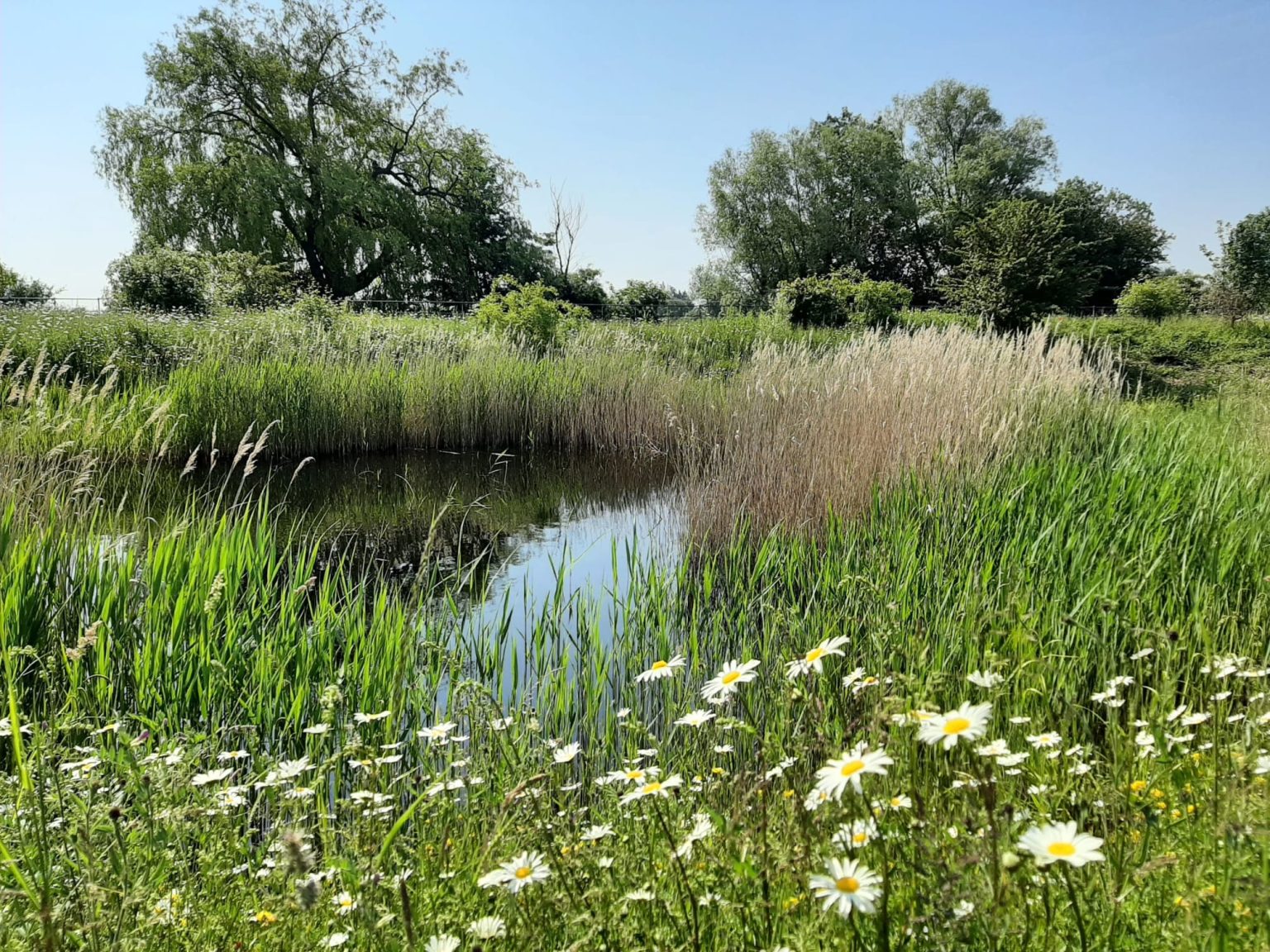 Coton – 200 Acres, One Vision - Cambridge Past, Present & Future