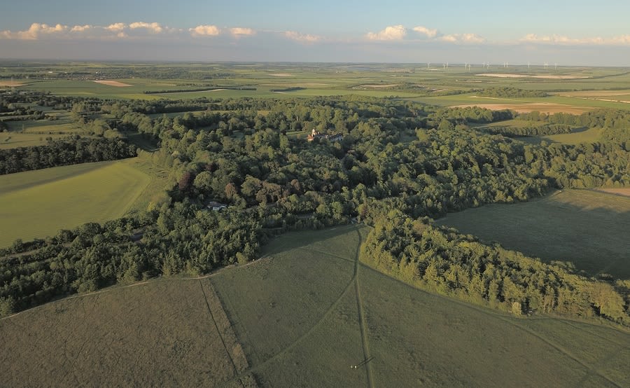 Cambridge Nature Network - Cambridge Past, Present and Future