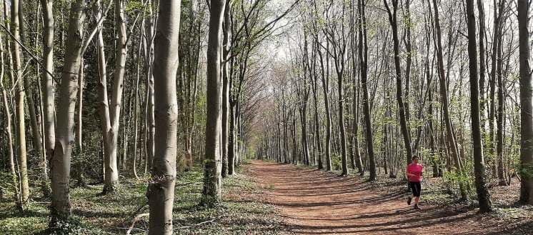 Cambridge Nature Network - Cambridge Past, Present and Future